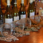 Saint-Martin-d'Ardèche: Electric Bike Wine Tour & Tasting - Final Thoughts