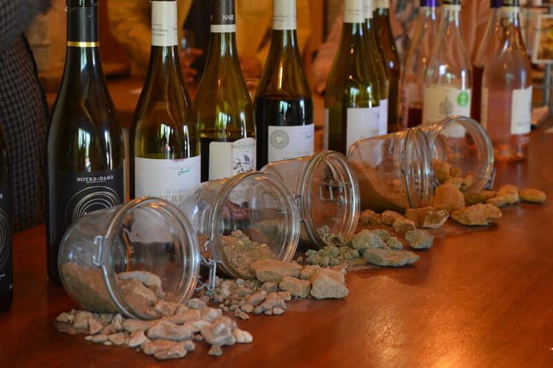 Saint-Martin-d'Ardèche: Electric Bike Wine Tour & Tasting - Final Thoughts