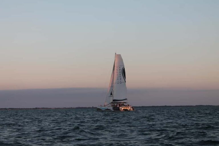 Saint-Martin-de-Ré : Sunset Catamaran Cruise (2h00) - Authentic Guest Feedback