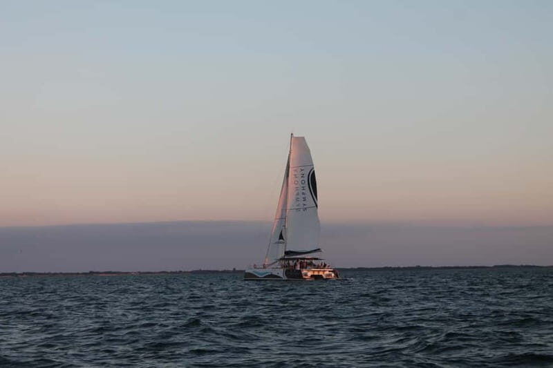 Saint-Martin-de-Ré : Sunset Catamaran Cruise (2h00) - Authentic Guest Feedback