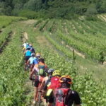 Saint Montan: Electric Bike Wine Tour & Tasting - The Itinerary in Detail
