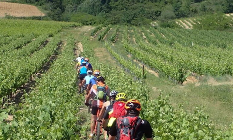 Saint Montan: Electric Bike Wine Tour & Tasting - The Itinerary in Detail