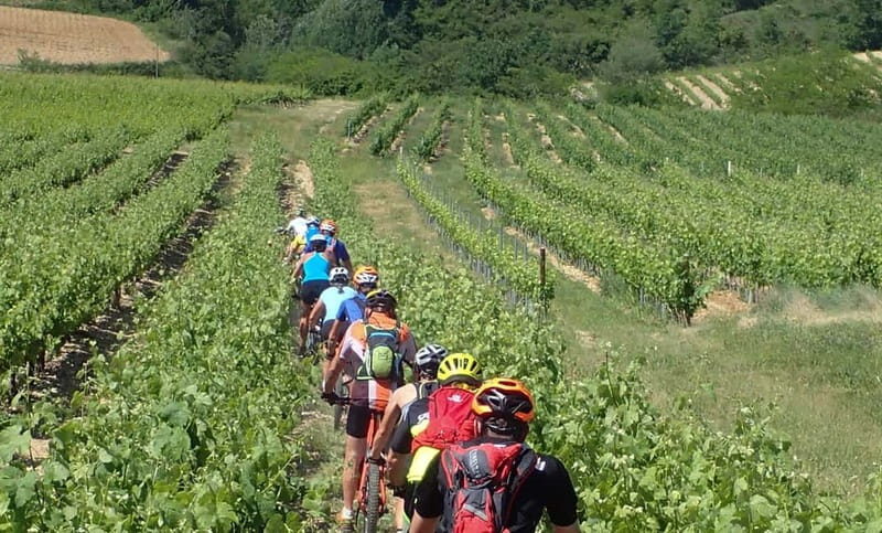 Saint Montan: Electric Bike Wine Tour & Tasting - The Itinerary in Detail