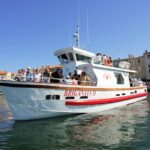 Saint-Tropez and Port Grimaud Private guided Tour - Who Should Consider This Tour?
