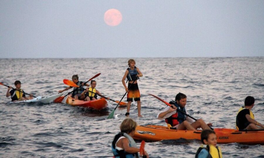 Saint-Tropez: Kayak Experience in Ramatuelle Reserve - Discovering Saint-Tropez from the Water: What the Tour Offers