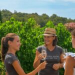 Saint-Tropez: Small Group Wine Tour - Itinerary Breakdown: What’s in Store