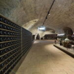 Sala Baganza: Wine Museum Ticket - A Deep Dive into the Experience: What Youll See and Do