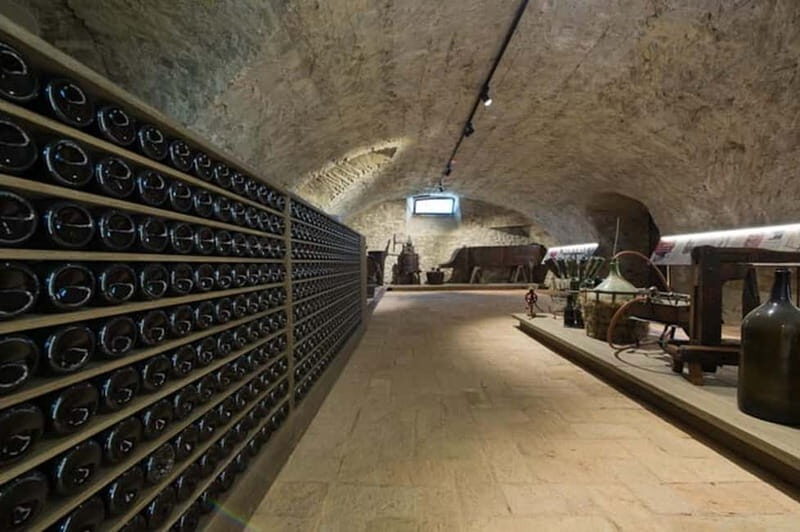 Sala Baganza: Wine Museum Ticket - A Deep Dive into the Experience: What Youll See and Do