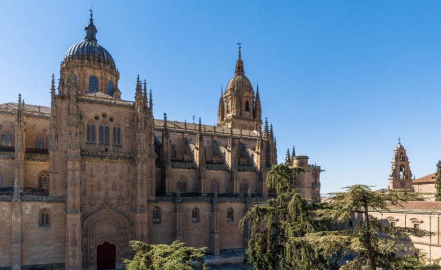 Salamanca: Cathedral of Salamanca Ticket with Audio Guide - Who Will Love This Tour?