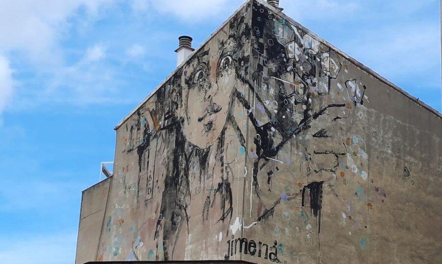 Salamanca: Private Guided Street Art Walking Tour - Is This Tour Worth It?