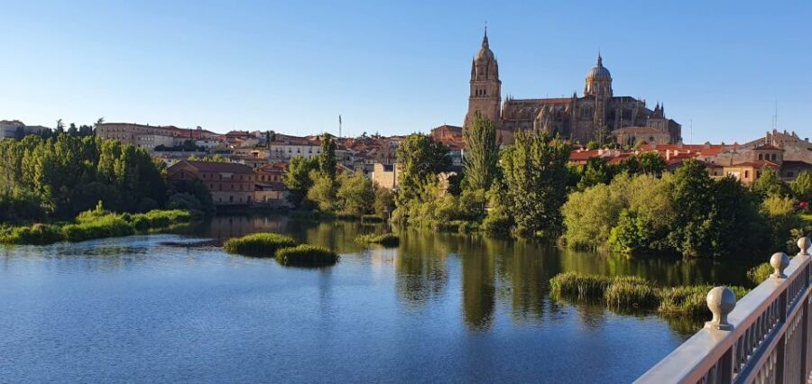 Salamanca: Private Sightseeing & Cultural Walking Tour - Why Does This Tour Stand Out?