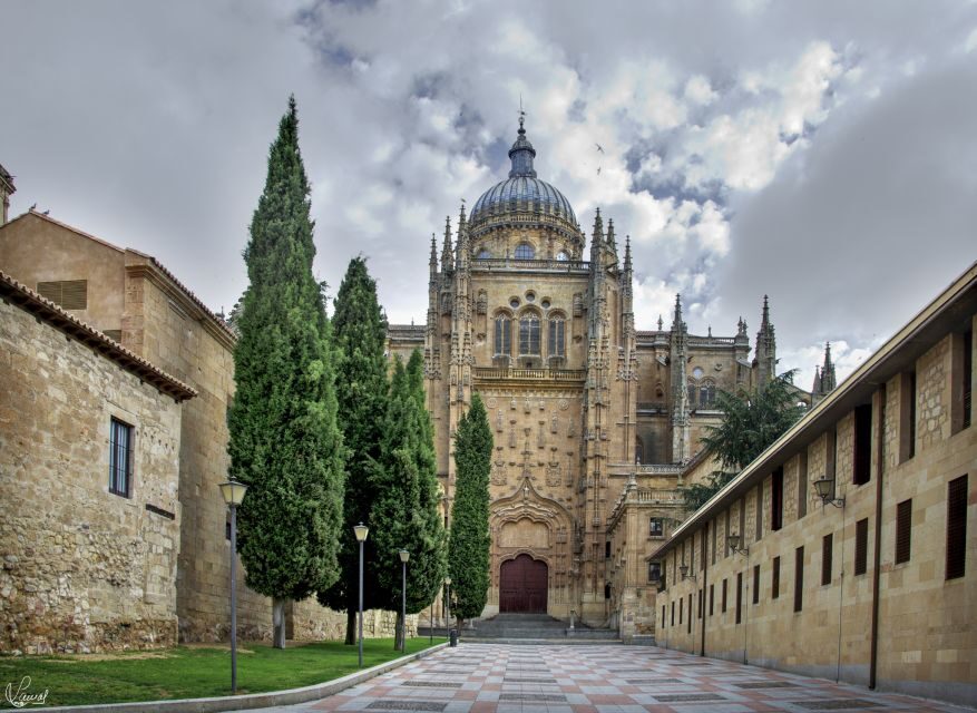 Salamanca: Private tour of the most important sites - A Close Look at the Tour Experience