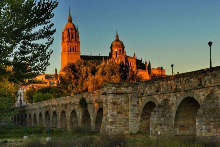 Salamanca: Private Walking Tour with a Local Guide - Exploring Salamanca with a Private Guide