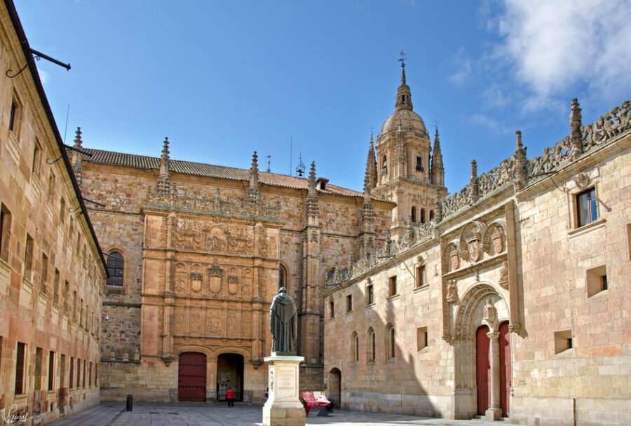 Salamanca: University and Colleges Walking Tour (Private) - Understanding the Experience