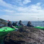 Salcombe: Estuary Explorer Sea Kayak Tour - What Makes This Tour Special?