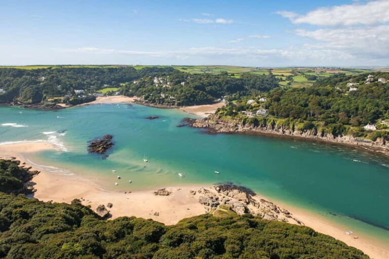 Salcombe: Group Stand Up Paddleboarding Tour - Exploring the Tour Experience