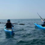 Salcombe: Harbour Hero Sea Kayak Tour - An In-Depth Look at the Salcombe Harbour Hero Sea Kayak Tour