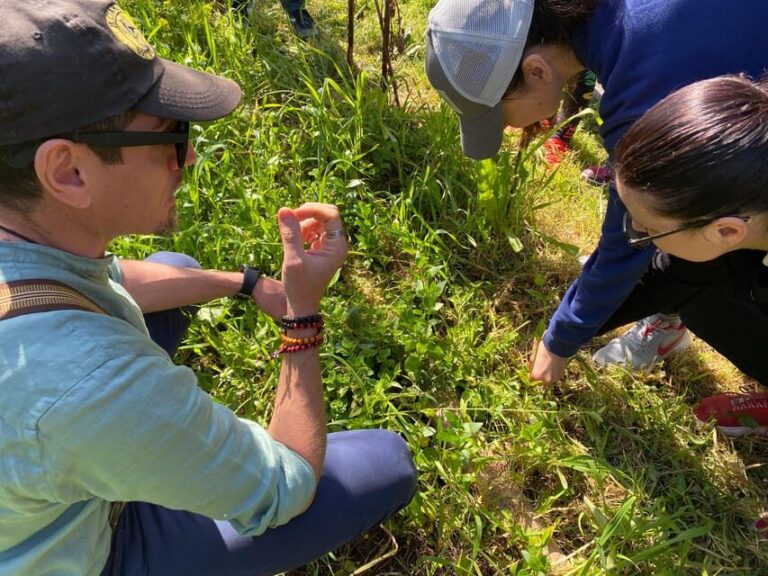 Salento: Wild Herbs to Drink - from plant to glass - What to Expect on the Tour