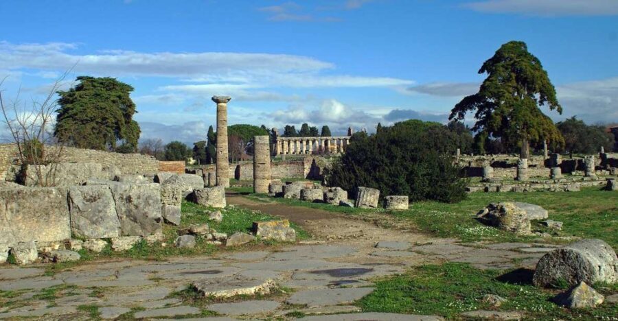 SALERNO: Guided Visit at Paestum Ruins and Museum - Transport and Logistics: Why It Matters