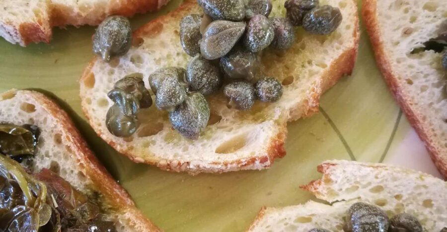 Salina Capers Experience - An In-Depth Look at What to Expect