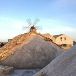 Saline di Trapani: 2h 30min Salt Tour - The Experience in Detail