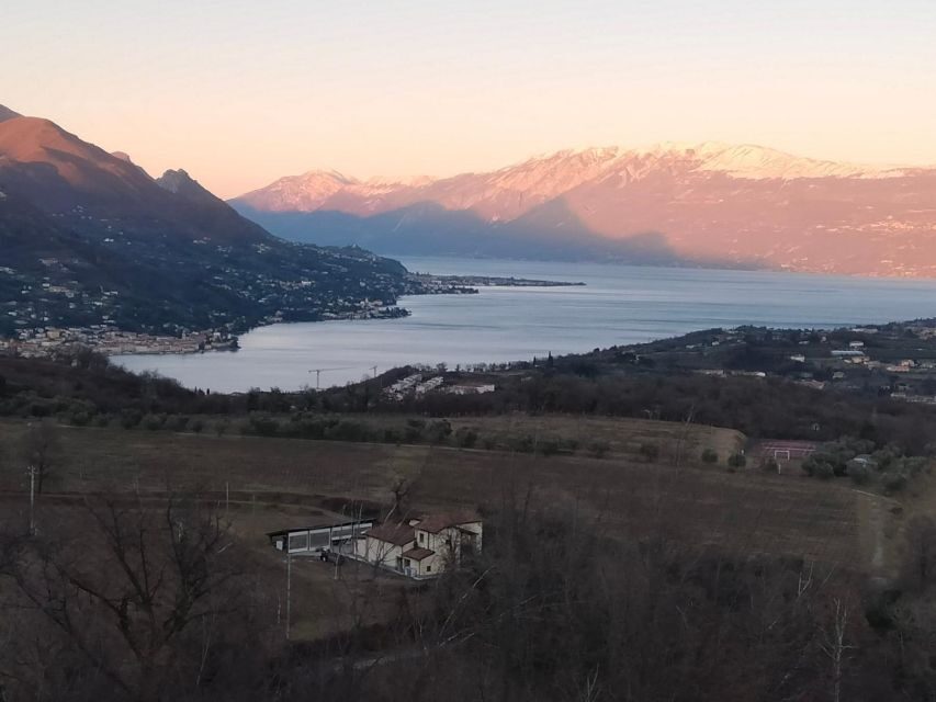 Salò: Tasting of 4 Valtenesi wines with local food - A Deep Dive Into the Experience
