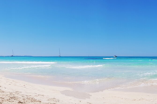 Salobrar Natural Park - Es Trenc Beach - Key Points