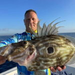Salou: Hands-On Fishing Trip with Swimming at Sea - What Makes This Tour Stand Out?