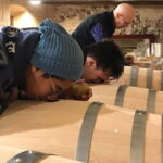 Salou: Priorat tasting Wine-Cellar Tour with hotel pickup - The Practical Side: Transport, Group Size, and Overall Value