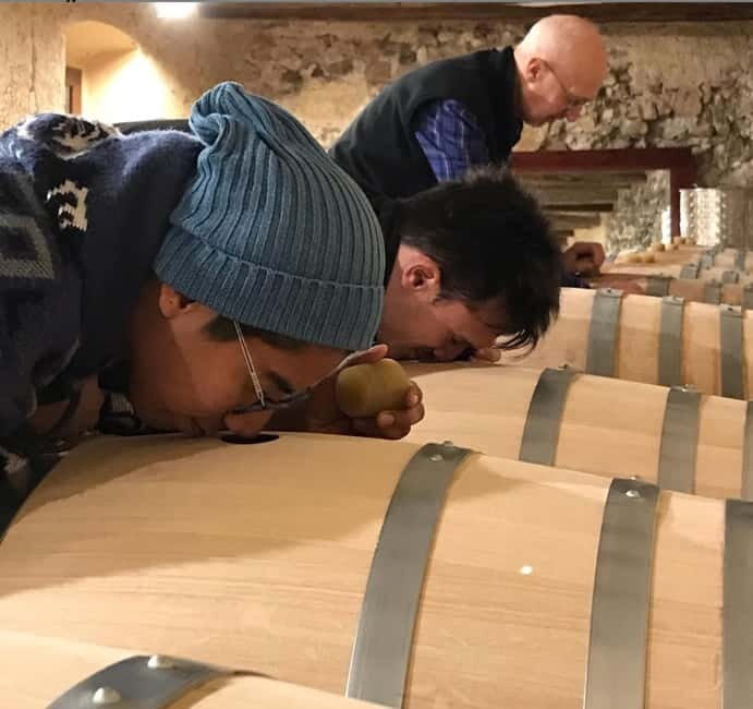 Salou: Priorat tasting Wine-Cellar Tour with hotel pickup - The Practical Side: Transport, Group Size, and Overall Value