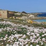 Salvora: Island Tour with Mussel Tasting - FAQ