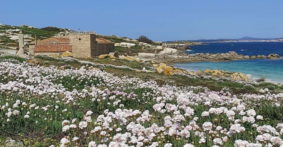Salvora: Island Tour with Mussel Tasting - FAQ