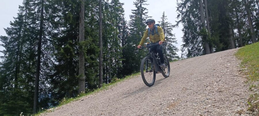 Salzkammergut: Guided e-bike tour to the alpine pastures in Gosau and Hallstatt - What To Expect During the Tour