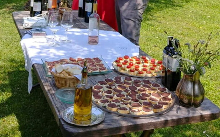 San Felice del Benaco: Vineyard Tour with Wine Tasting - Who Will Love This Tour?