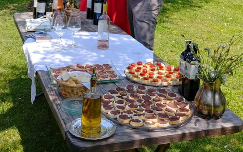 San Felice del Benaco: Vineyard Tour with Wine Tasting - Who Will Love This Tour?