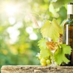 San Gimignano and a Winery with Light Lunch from Pisa - The Itinerary Explained