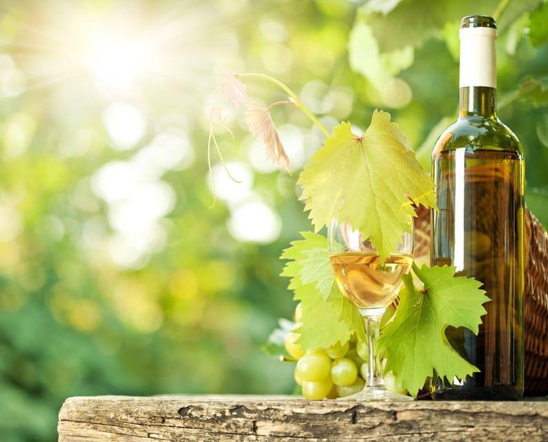 San Gimignano and a Winery with Light Lunch from Pisa - The Itinerary Explained