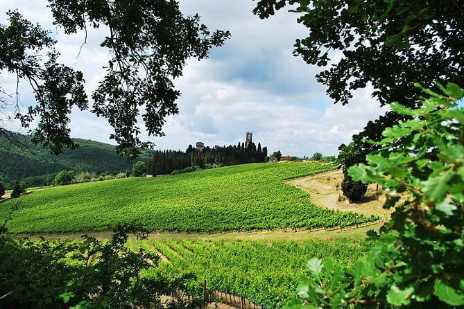 San Gimignano and Chianti Classico Wine and Food PRIVATE TOUR from Florence - Who This Tour is Perfect For