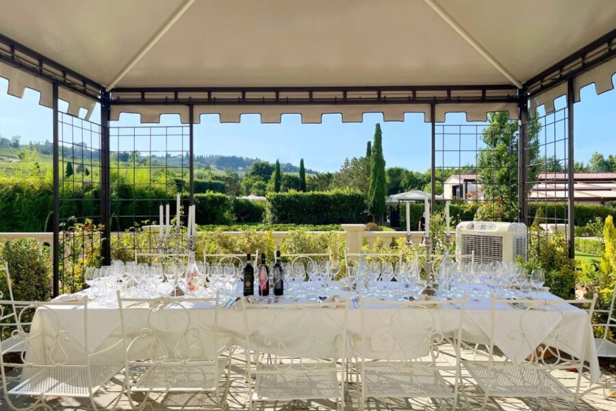 San Gimignano Lunch in terrace with vineyards view - What to Expect on the Day