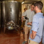 San Gimignano: Mini Wine Tour with Tuscan aperitif - The Tasting Experience: White, Red, and Everything In Between