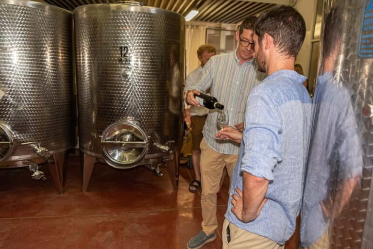 San Gimignano: Mini Wine Tour with Tuscan aperitif - The Tasting Experience: White, Red, and Everything In Between