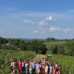San Gimignano: Premium Wine Tour with Lunch - Breakdown of the Itinerary