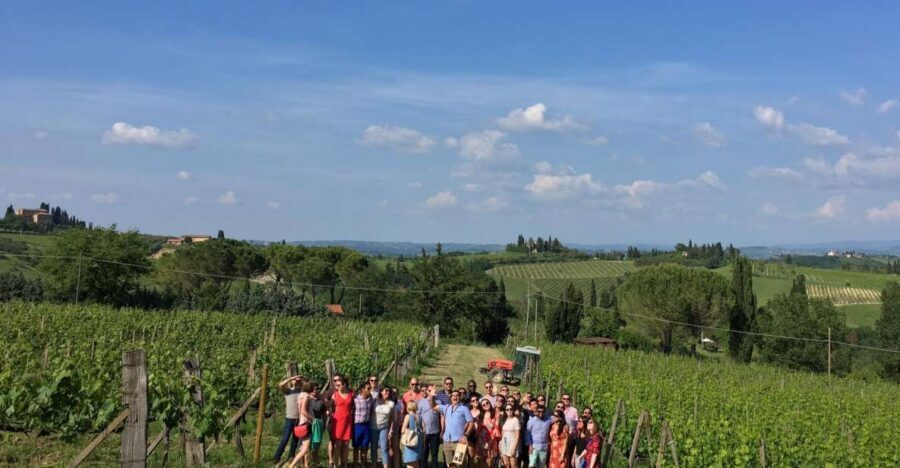 San Gimignano: Premium Wine Tour with Lunch - Breakdown of the Itinerary