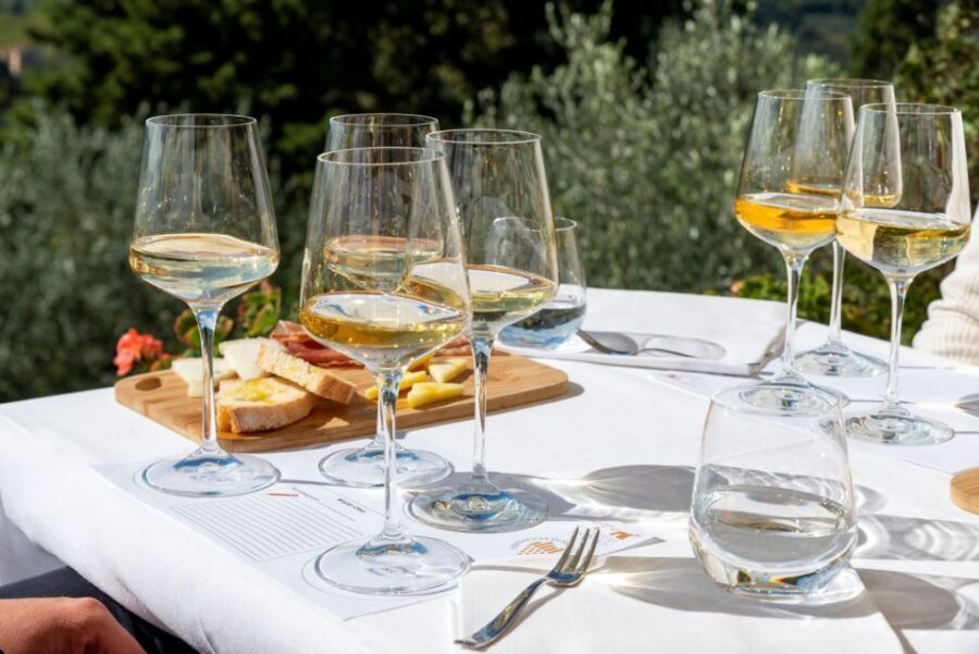 San Gimignano: Professional Wine Tasting Experience - Analyzing the Value