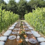 San Gimignano: Romantic Vineyard Dinner - Who Will Love This Experience?