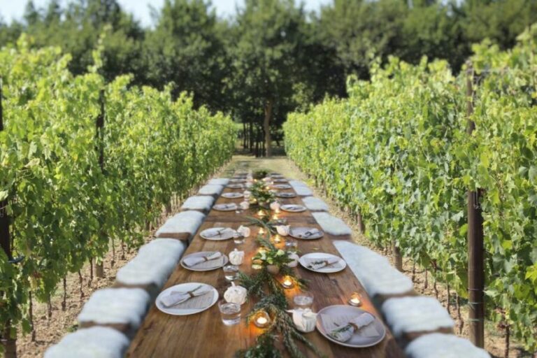 San Gimignano: Romantic Vineyard Dinner - Who Will Love This Experience?