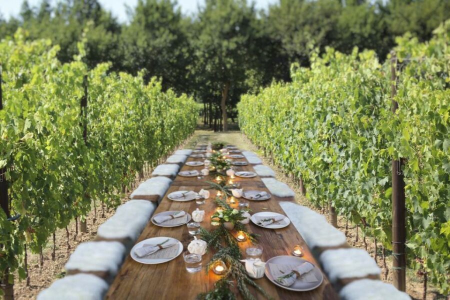 San Gimignano: Romantic Vineyard Dinner - Who Will Love This Experience?