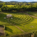 San Gimignano: Tasting of Tuscan Wines and Cheeses - The Itinerary in Detail