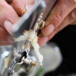 San Gimignano: Truffle Cooking Class with Wine Tasting - Who Will Love This Tour?
