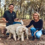 San Gimignano: Truffle Hunting with Lunch & Wine Tasting - A Deep Dive into the Experience